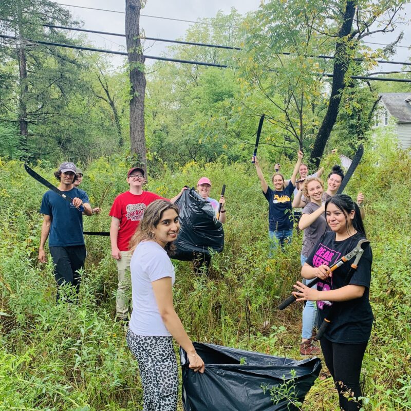 Environmental Courses · Environmental Science and Environmental Studies ...