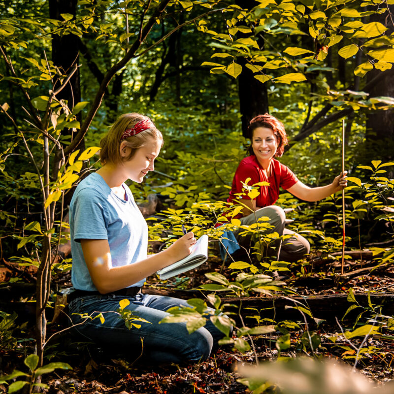 Environmental Courses · Environmental Science and Environmental Studies ...